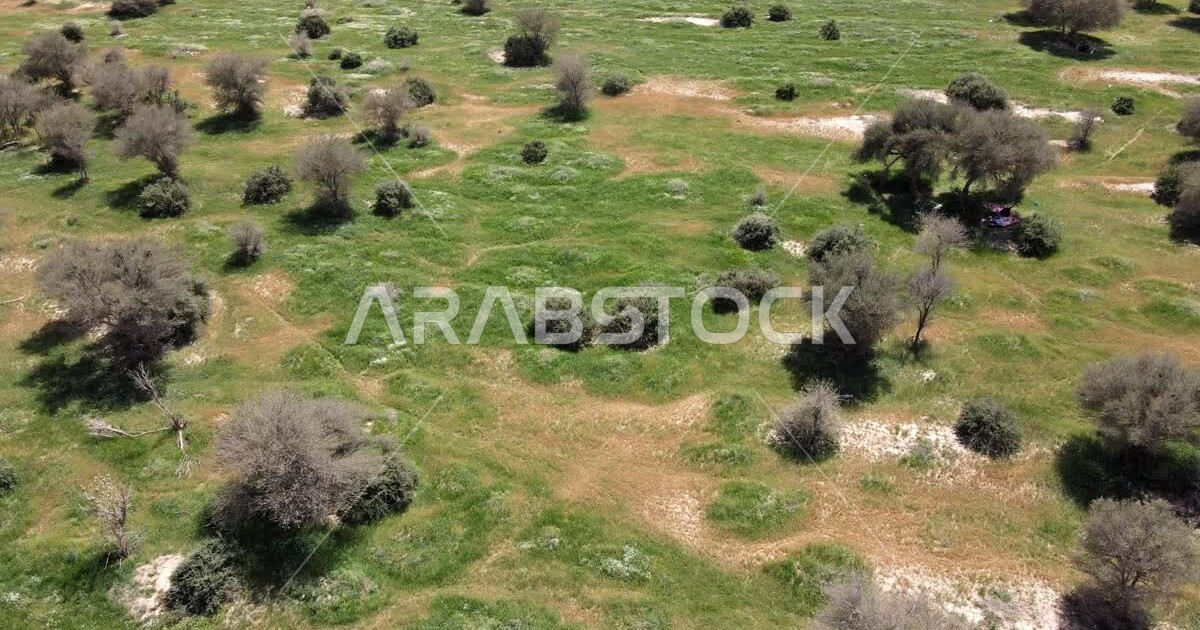Rawdat Khuraim National Park in Riyadh, aerial drone photography of ...