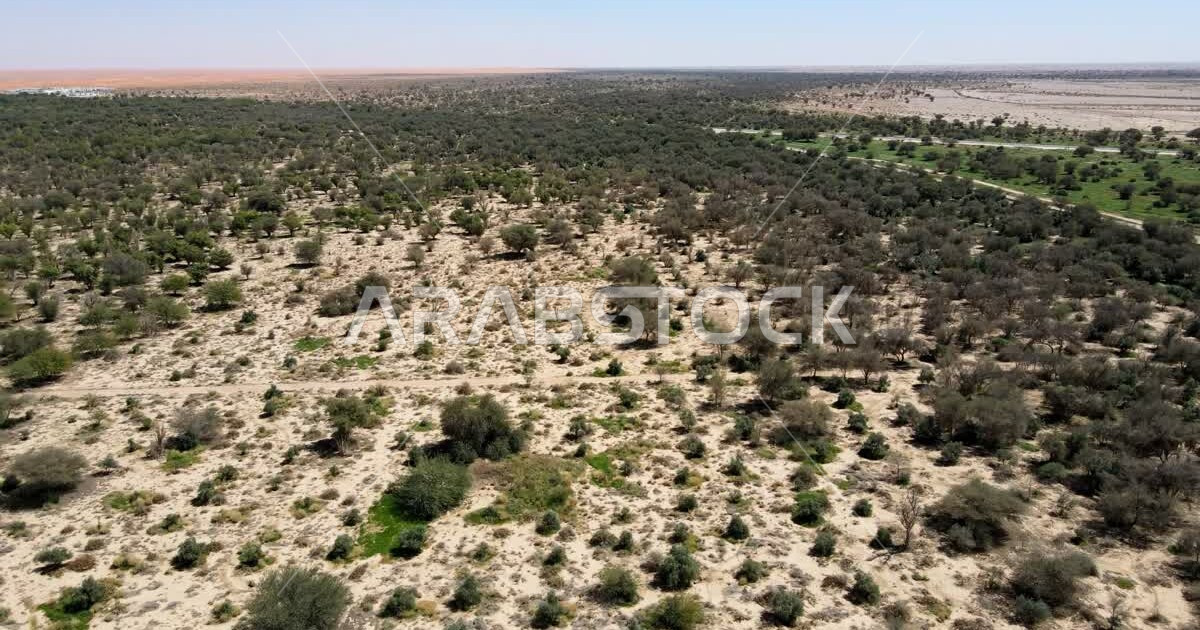 Rawdat Khuraim National Park in Riyadh, aerial drone photography of ...