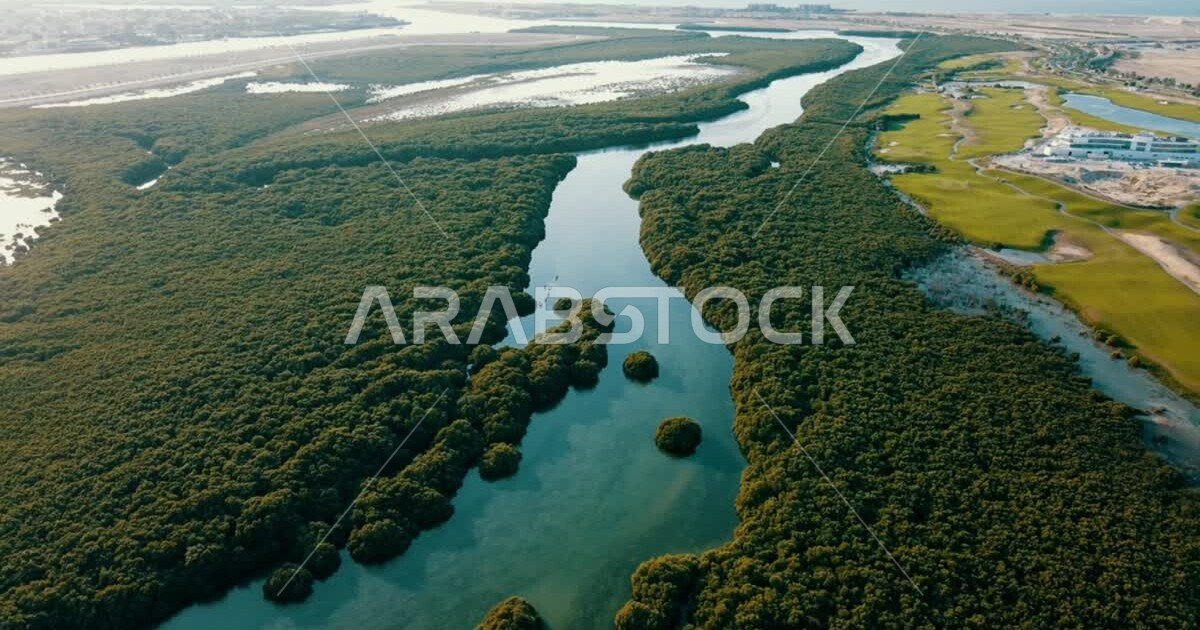 Distinctive oases and nature reserves, aerial view of Al Zorah Reserve ...
