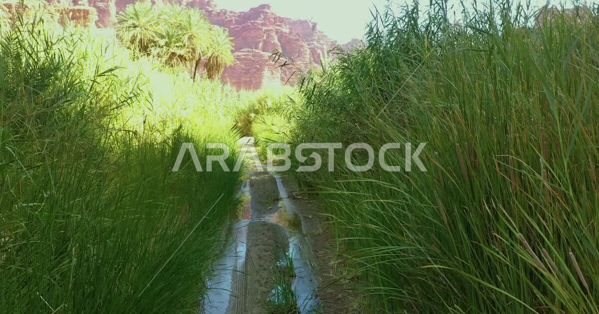 Drone photography from the top of the village of Al-Desah in the Tabuk ...