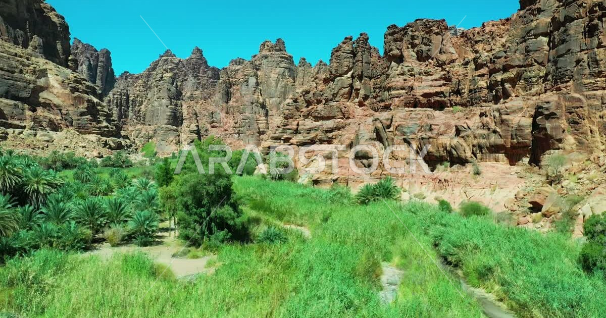 Drone photography from the top of the village of Al-Desah in the Tabuk ...