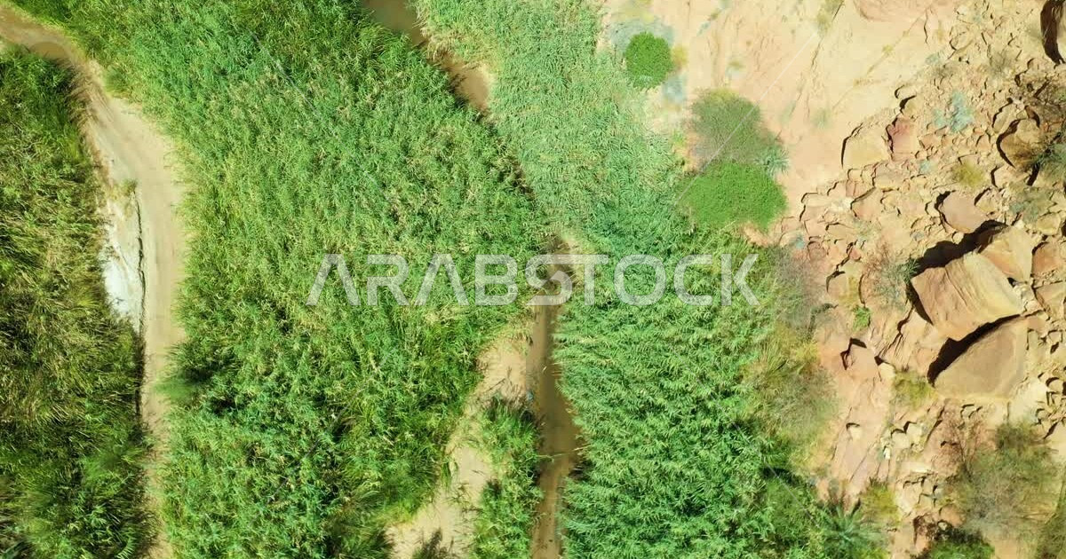 Drone photography from the top of the village of Al-Desah in the Tabuk ...
