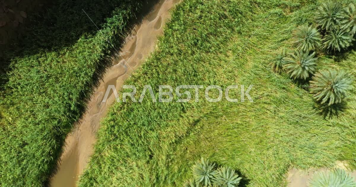 Drone photography from the top of the village of Al-Desah in the Tabuk ...