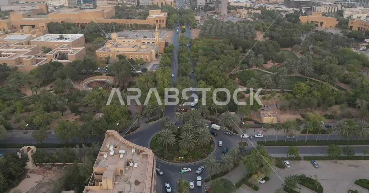 Drone photography of the home garden full of palm trees in Riyadh ...