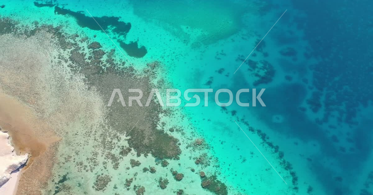 Drone photography of Qayal - Neom beach in Tabuk, Saudi Arabia, the ...