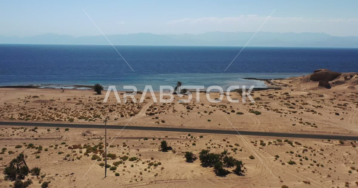 Drone photography of Neom Beach in the city of Tabuk, Saudi Arabia, the ...