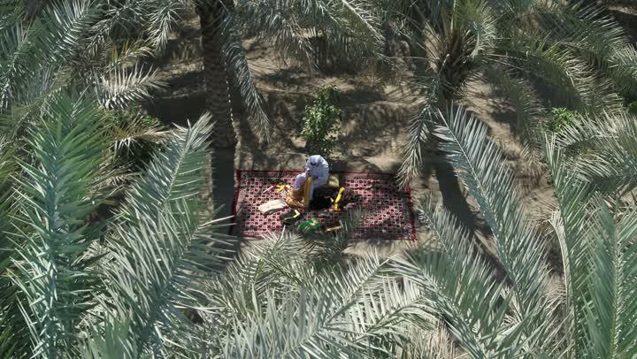 Palm tree farms in Al-Ahsa Governorate in the Eastern Province of the ...
