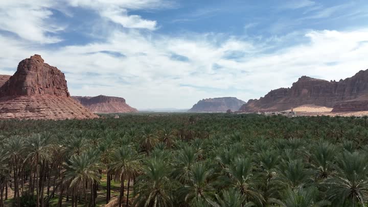 Palm tree farms in Al-Ahsa Governorate in the Eastern Province of the ...