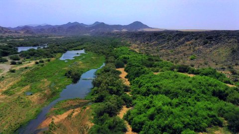Bird migration season, natural tourist attractions in the Kingdom of ...