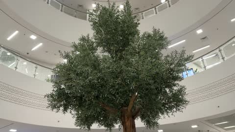 The reception area in the House of Culture in Dammam, Eastern Province ...