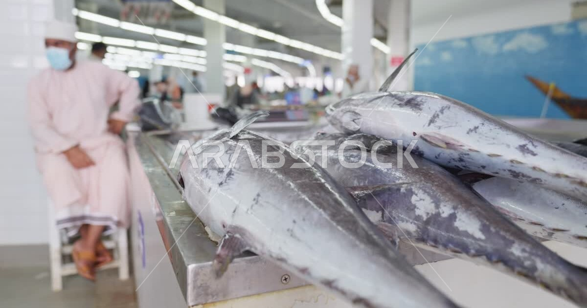 Close-up of fresh fish at Muttrah Fish Market in Muscat Oman, Fish ...