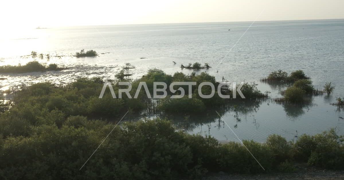 Beautiful view of Thuwal Beach in Saudi Arabia, the beauty of nature in ...