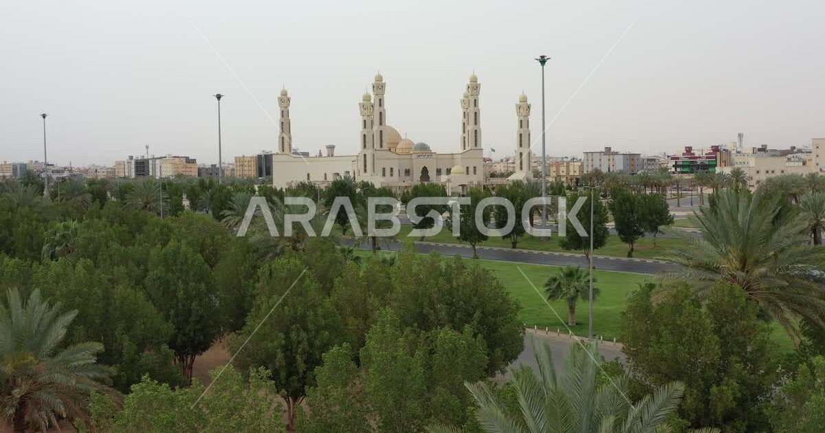 The parents’ mosque in the city of Tabuk, Saudi Arabia, green trees and ...