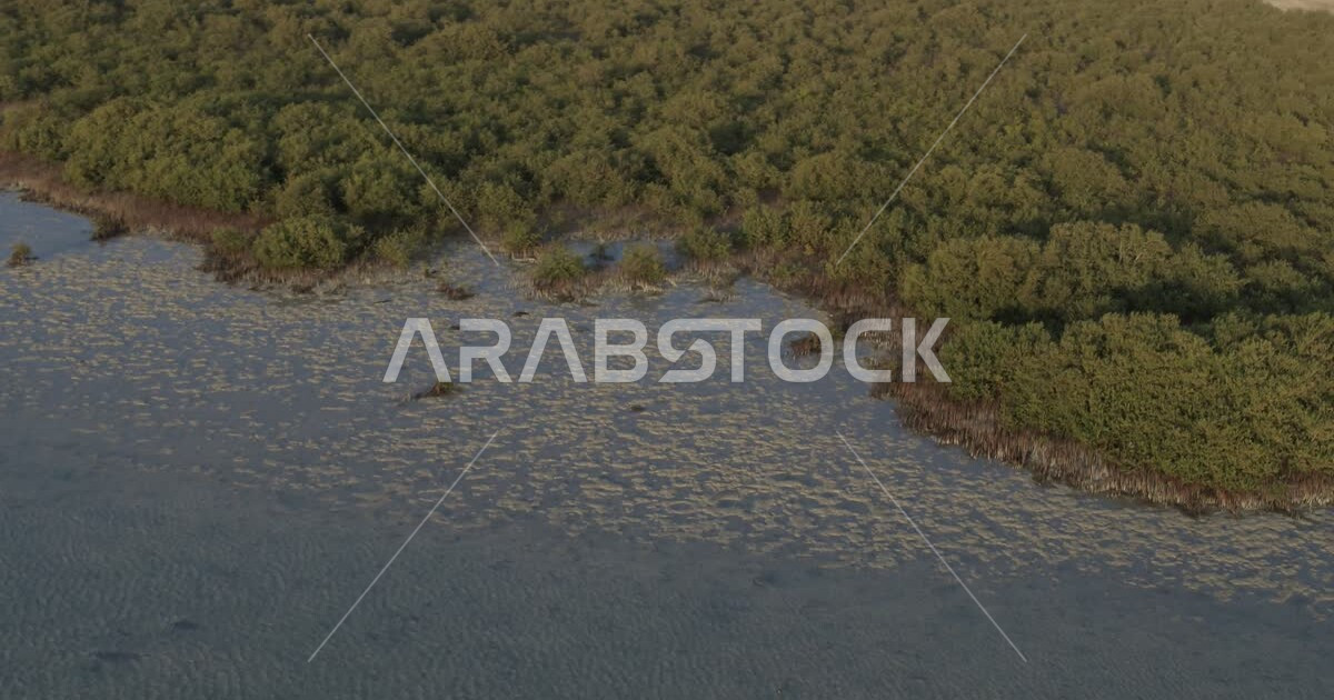 Drone photography of the islands in the Kingdom of Saudi Arabia, the ...