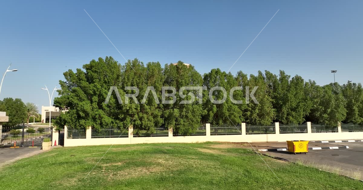 Drone photography of the city of Tabuk, Saudi Arabia, Tabuk Tower ...