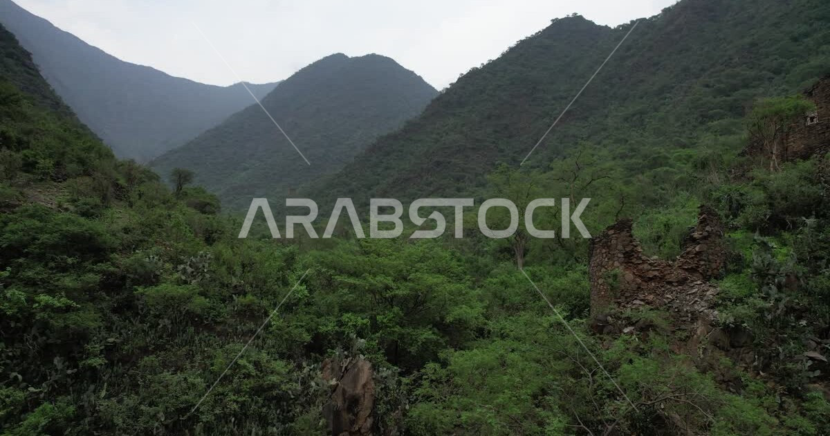 The beauty of nature and waterfalls in the Rijal Alma Mountains in Asir ...