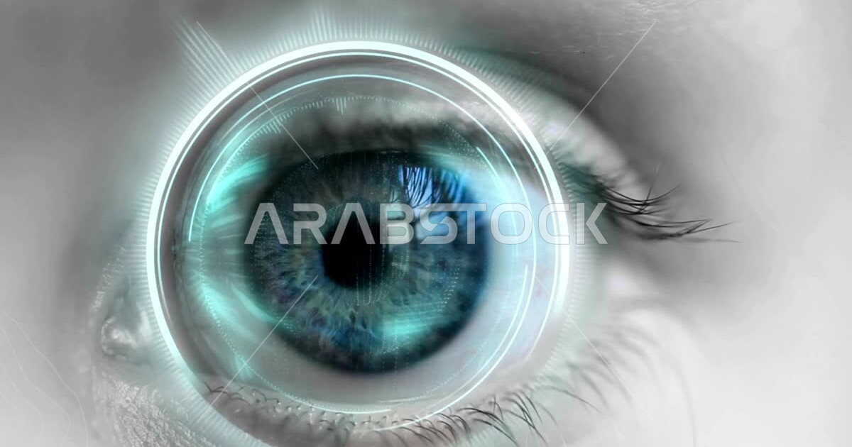 Human eye scanning and recognition, ultrasound scanning, optical ...