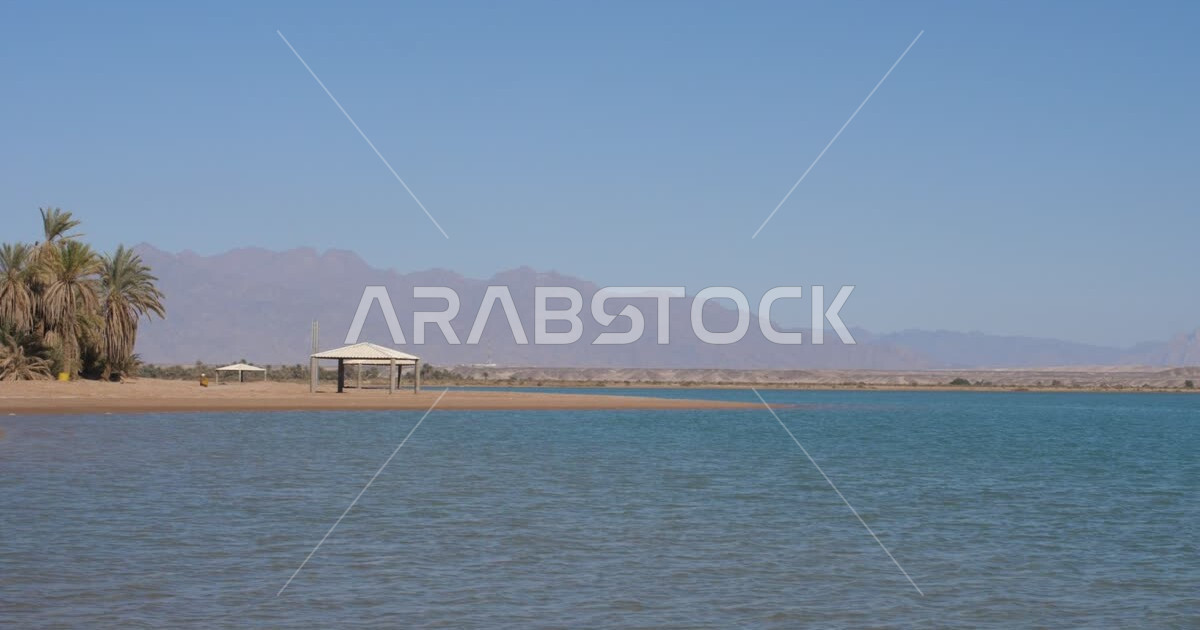 Neom governorate beach in the city of Tabuk, Saudi Arabia, the ...