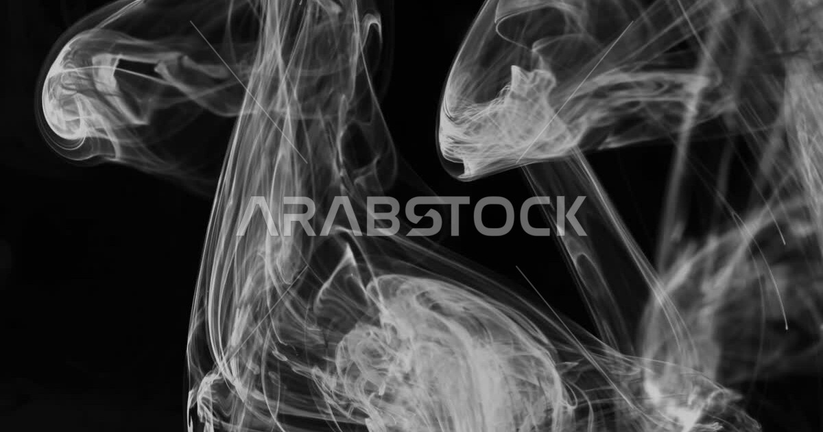 Professional 3D model video, animated white smoke, animated intro and ...