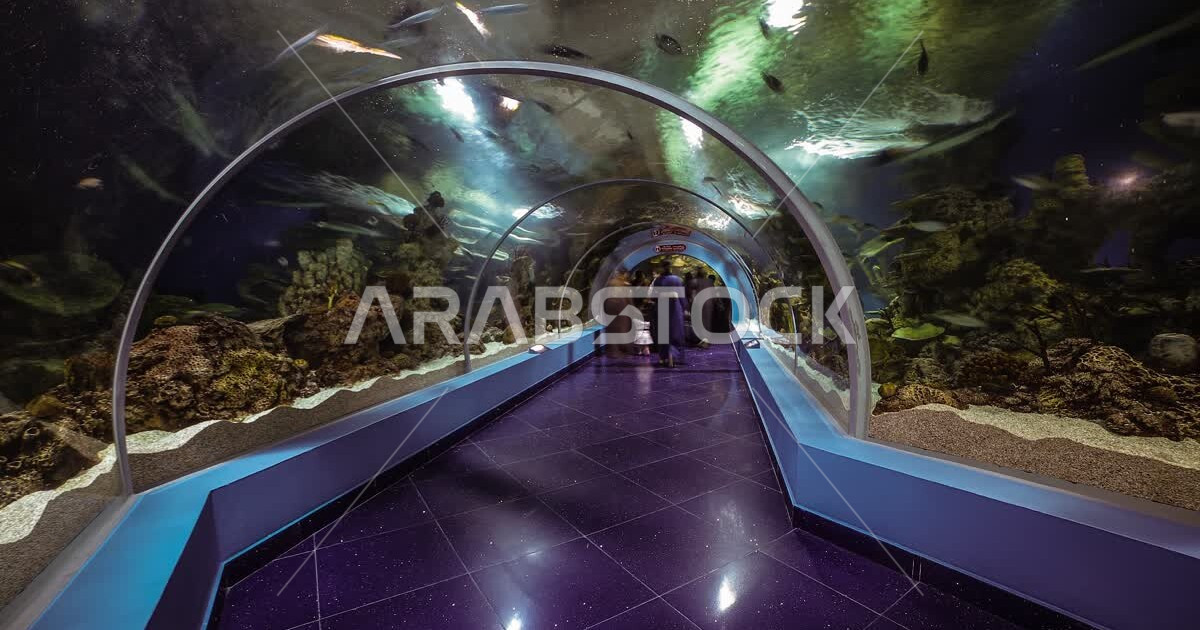 Time Laps Aquarium in Jeddah, Saudi Arabia, Jeddah Aquarium, Aquarium ...