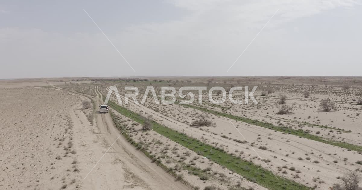 Drone photography of the luxury Lexus sports jeep in the desert areas ...