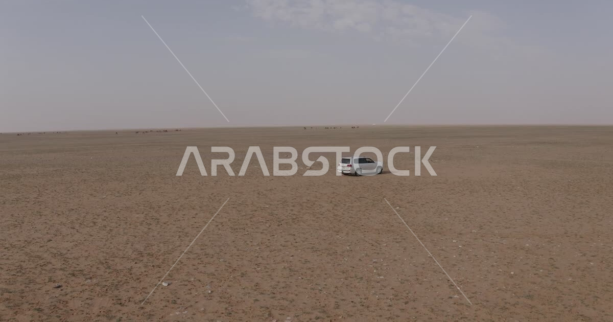 Drone photography of the luxury Lexus sports jeep in the desert areas ...