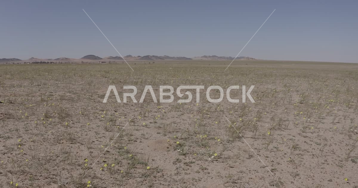 Drone photography of desert areas in the Kingdom of Saudi Arabia ...