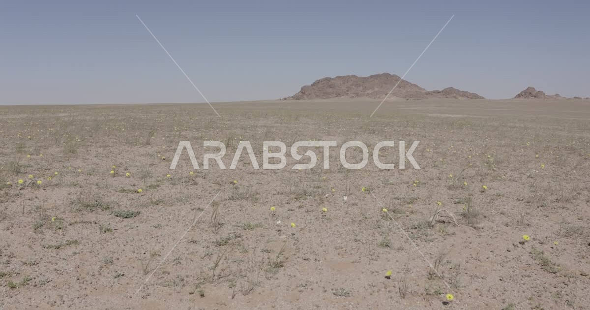 Drone photography of desert areas in the Kingdom of Saudi Arabia ...