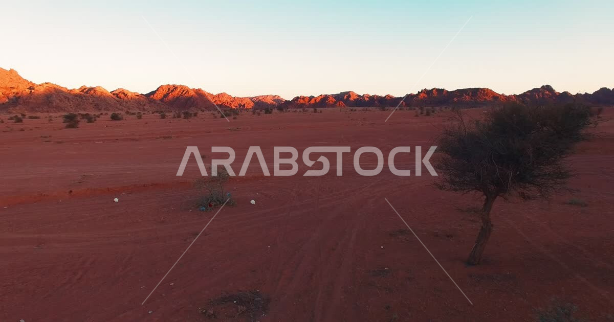 A snapshot of the deserts and farms of Tabuk, the desert in Tabuk ...