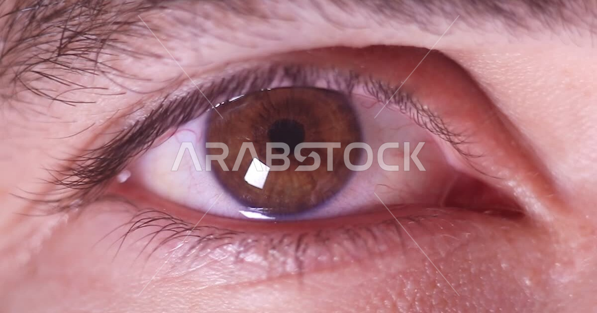 Close-up photography of a young Saudi Gulf male, Arab eyes. Arab Eye ...