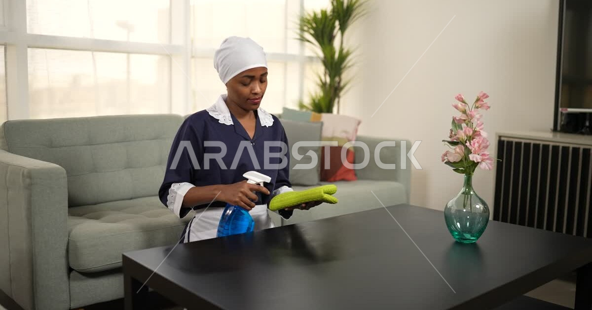 A cleaner wearing an apron, carrying in her hand household cleaning and ...