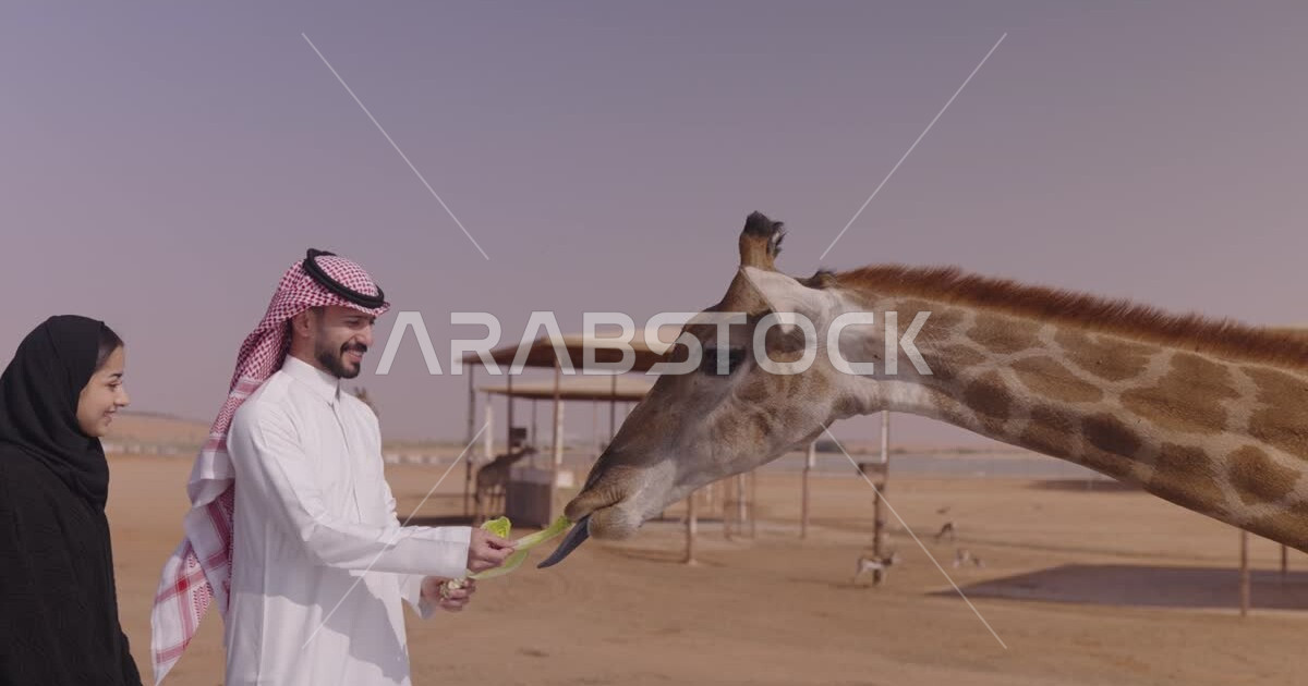 A Saudi Arabian Gulf couple spends fun times in the zoo in the Kingdom ...