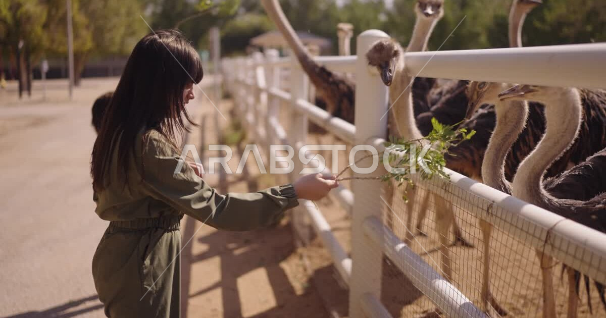 A Saudi Gulf Arab girl spends fun times in the zoo in the Kingdom of ...
