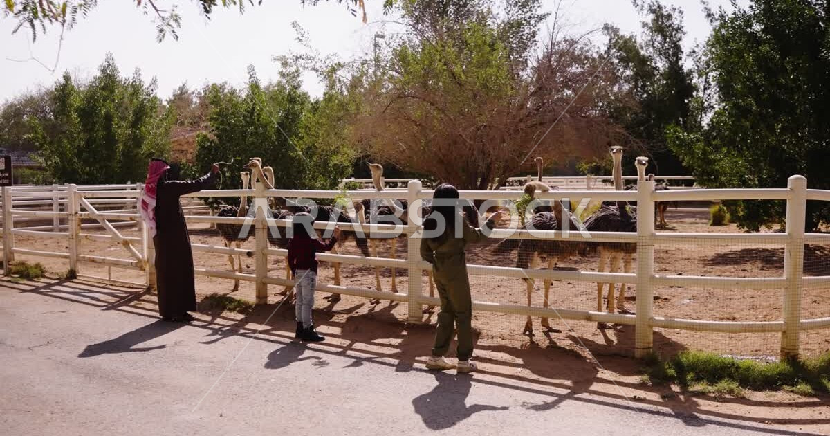 A Saudi Gulf Arab family spends fun times in the zoo in the Kingdom of ...