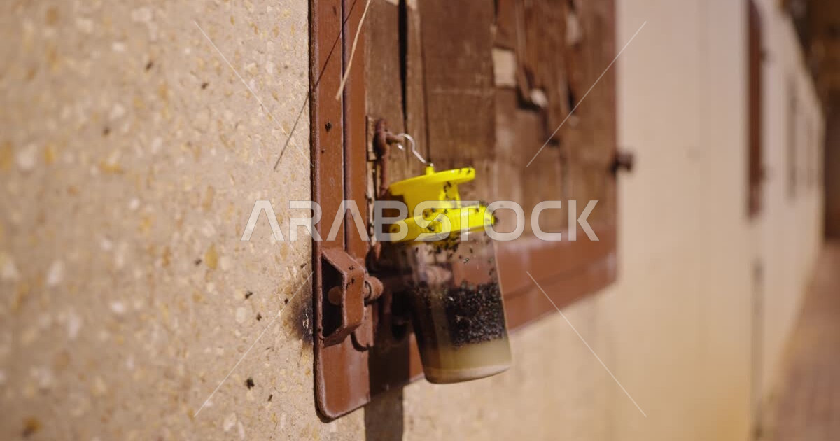 Wall mounted yellow plastic fly trap - Video #79803 - Stock Footage ...