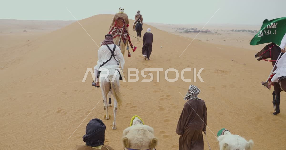 A group of Saudi Gulf Arab knights riding purebred Arabian horses ...