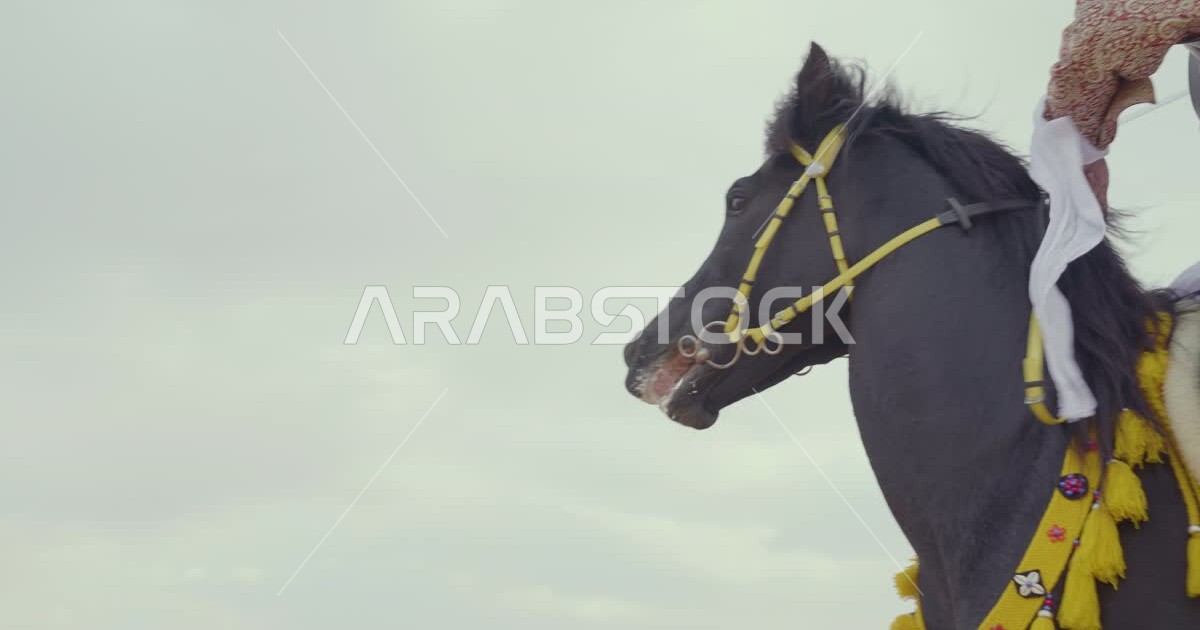 Two Saudi Arabian Gulf knights riding horses in the desert and jousting, using historical Saudi ...