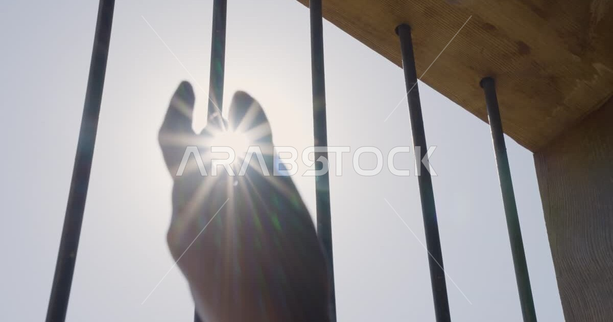 Close-up of the hand of a Saudi Arabian Gulf woman standing in front of ...
