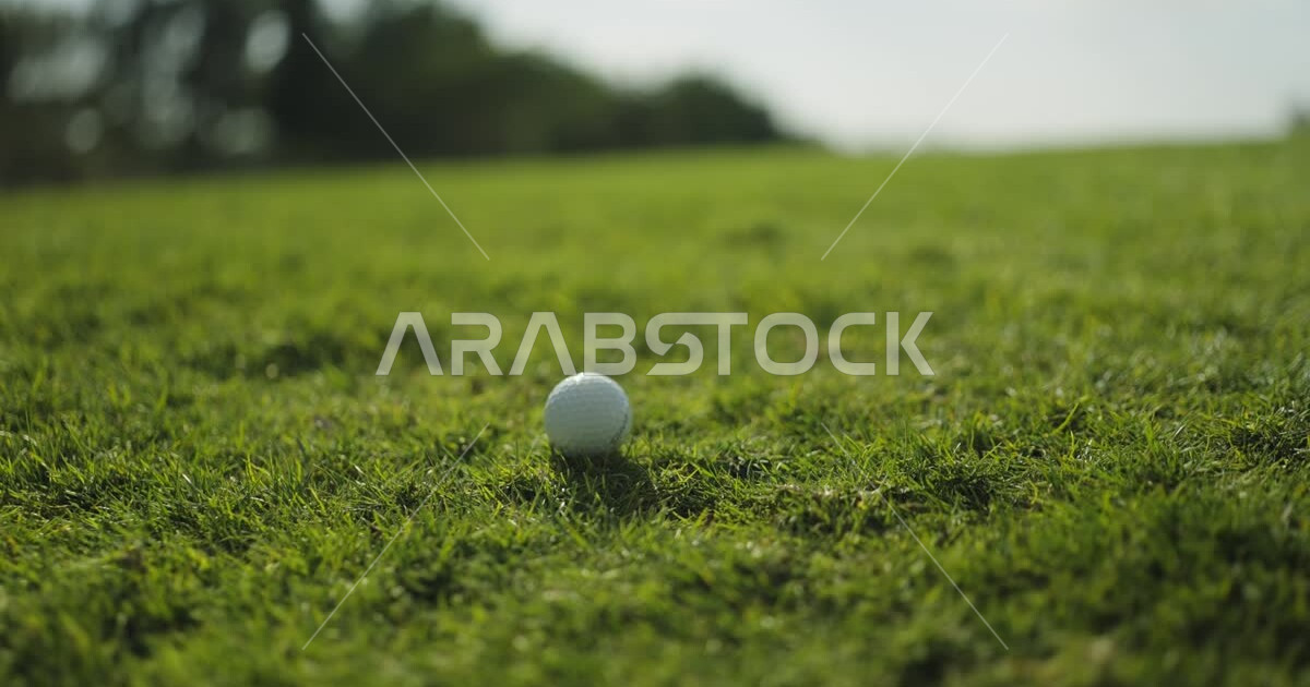 Close-up of a golf putter hitting the ball to hit the target, golf ...