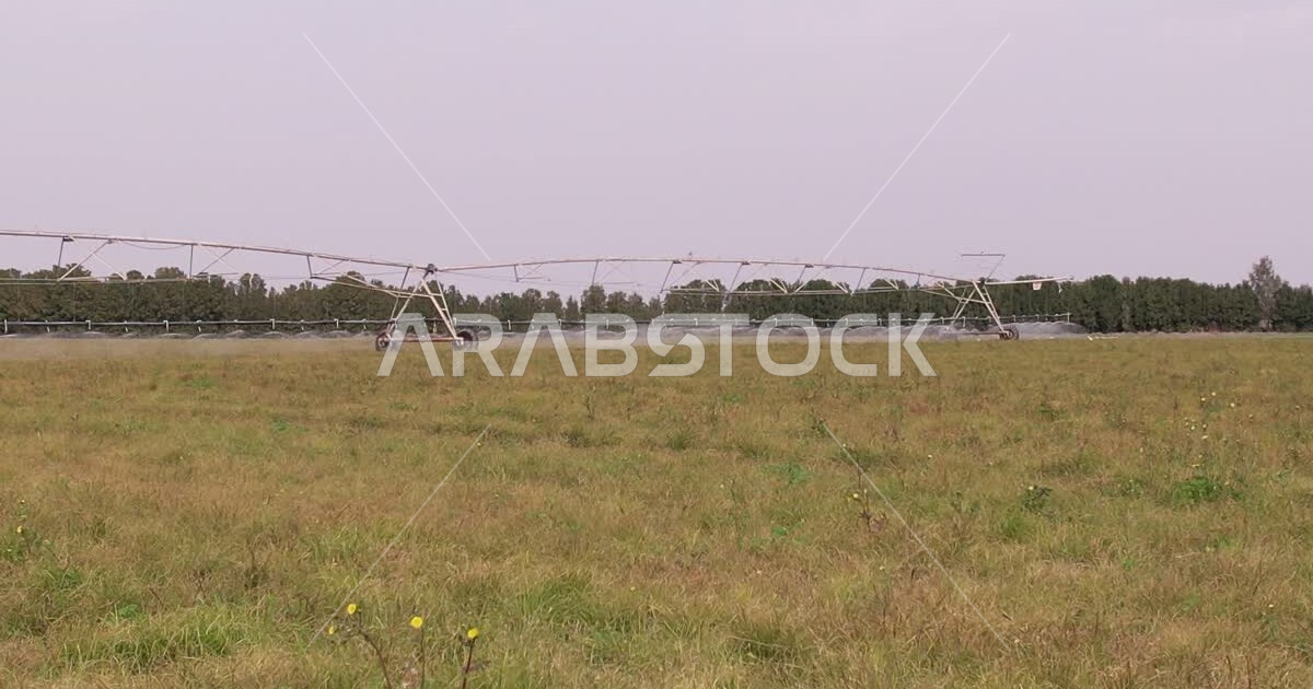 Green fields and farmland, green natural plants, nature background ...
