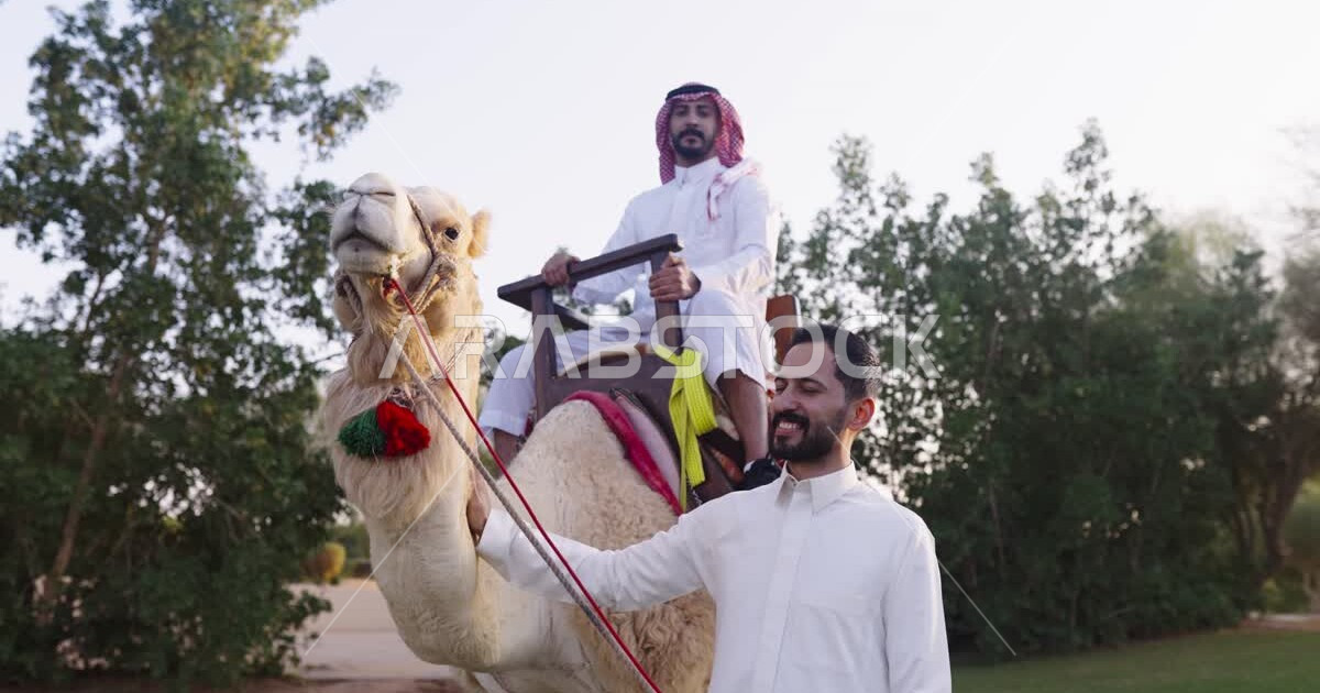 A Saudi Arabian Gulf man riding an Arabian camel next to a Saudi man ...