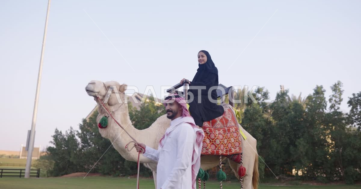 A Saudi Gulf Arab woman riding an Arab camel next to her, a Saudi Gulf ...