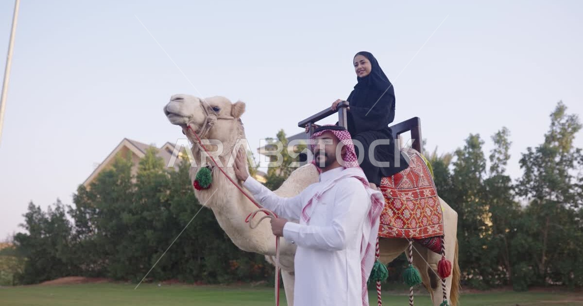 A Saudi Gulf Arab woman riding an Arab camel next to her, a Saudi Gulf ...