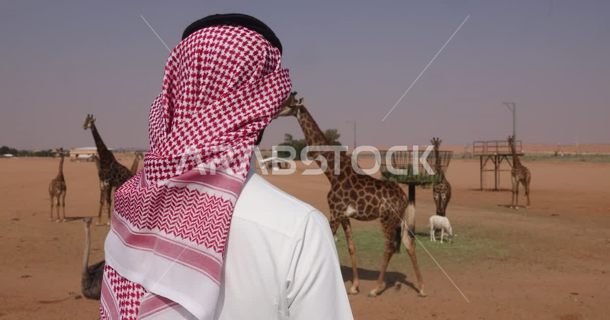A Saudi Arabian Gulf man spends fun times in the zoo in the Kingdom of ...