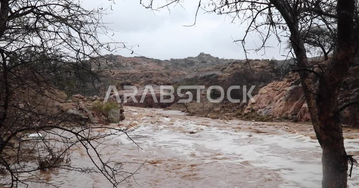 Torrents of rain water in Al-Murabba Park in Ahad Rufaidah Governorate ...