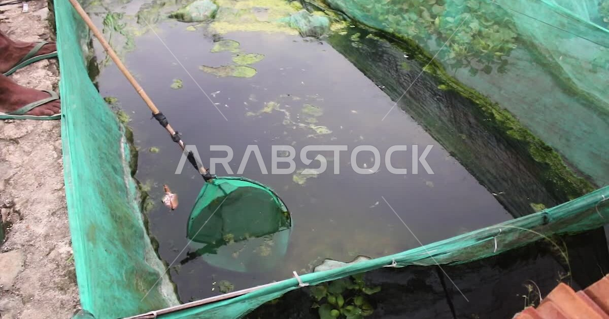 Fish pond made of nets, water pond, fishing profession, fishing net ...