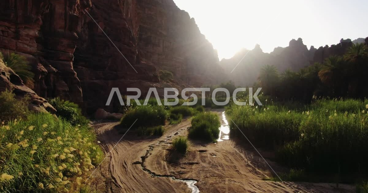Disa Valley in Tabuk, valleys of the Kingdom of Saudi Arabia, rocky ...