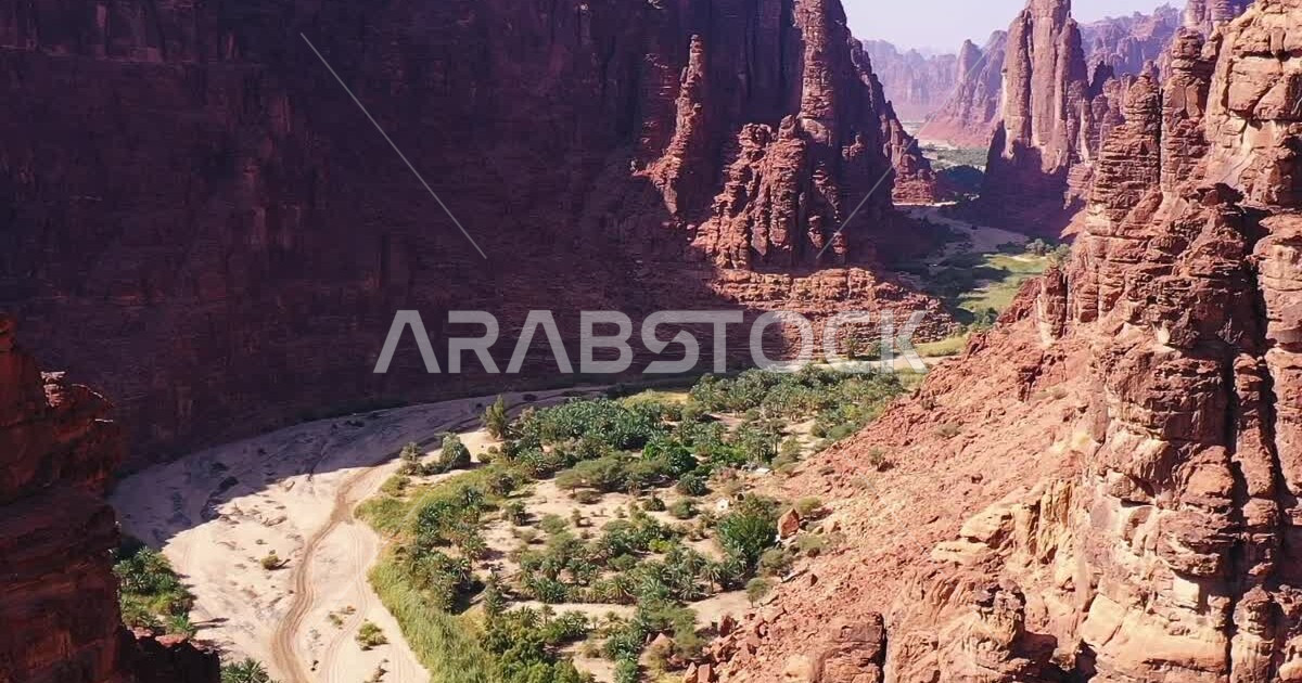Wadi Al-Disah in the Tabuk region, Saudi Arabia, valleys and rocky ...