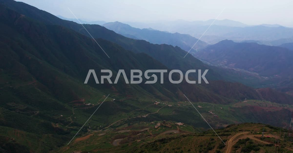 Trees and green plants in the Al-Soudah Mountains in Asir, Saudi Arabia ...